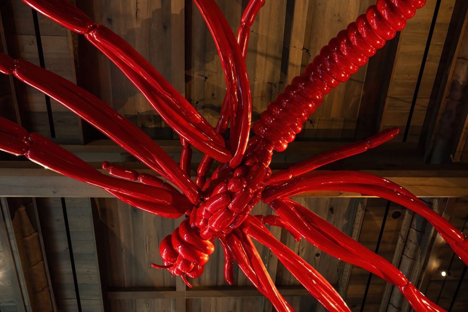Experience a Culinary Journey at Dragonfly: The Ultimate Japanese ...