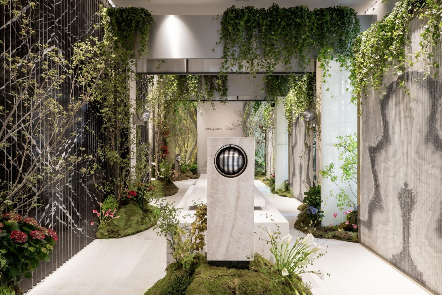 More Than a Speaker: How B&O and Antolini are Turning Sound into ...